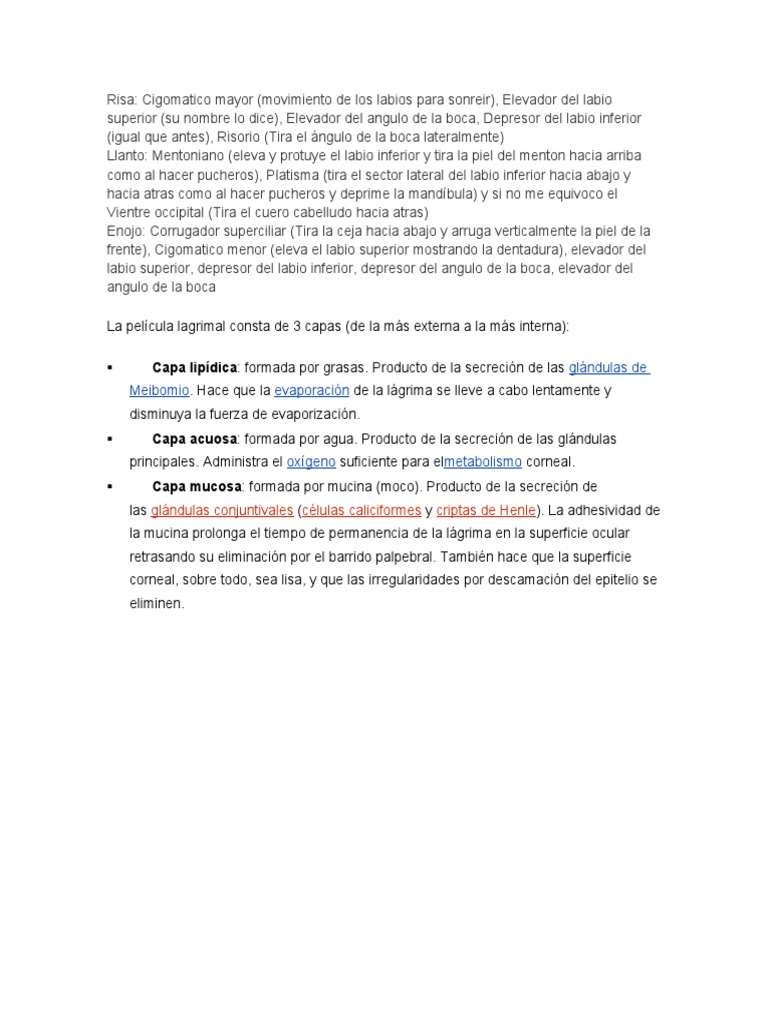 Musculos de La Risa | PDF