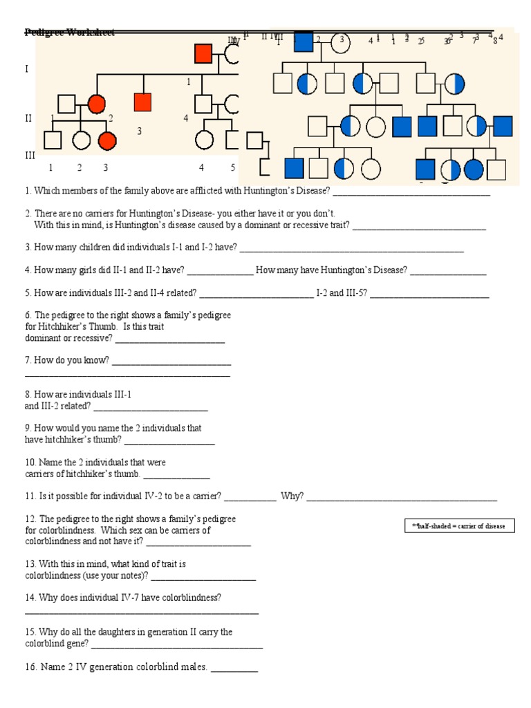 I 1 2 Huntington's Disease: Pedigree Worksheet Name | PDF | Zygosity ...