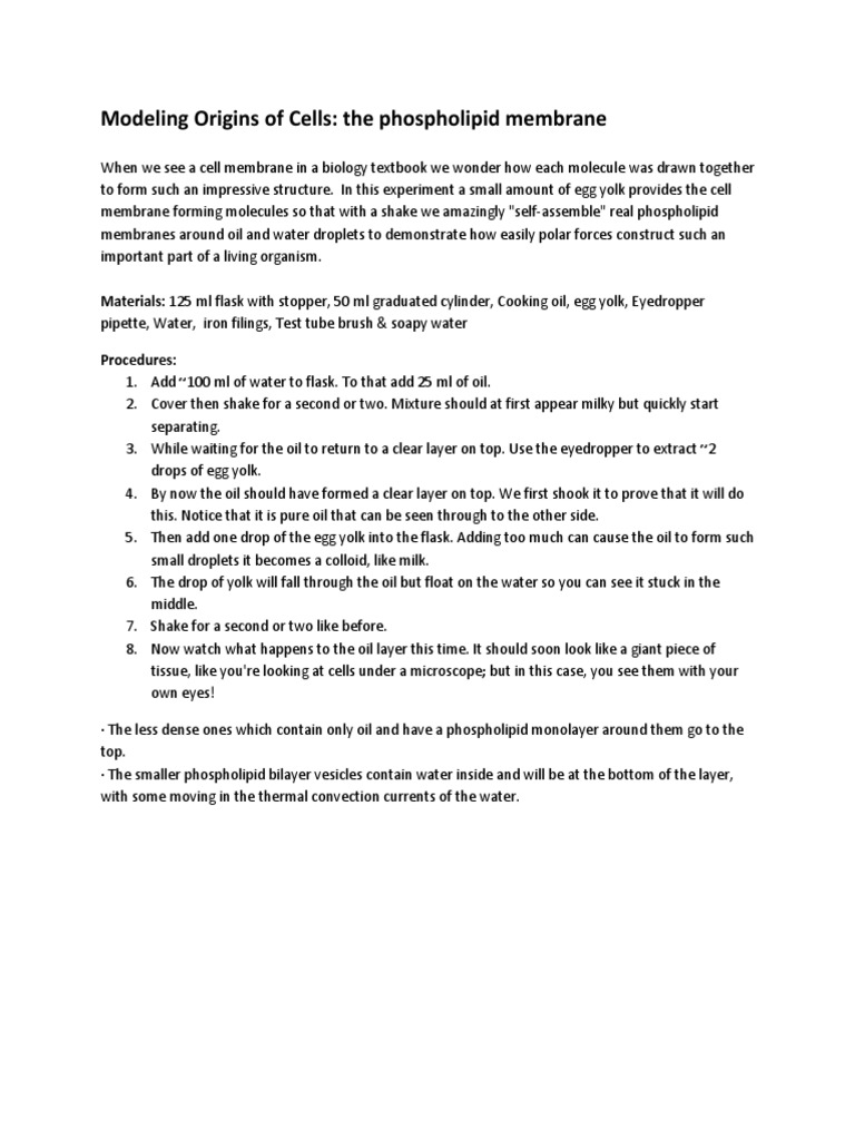 Phospholipid Membrane Experiment Guide | PDF | Cell Membrane | Osmosis