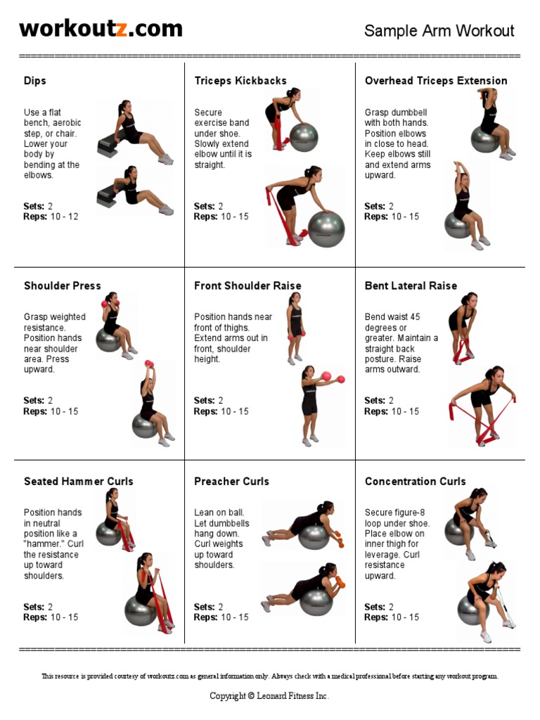 Arm Workout PDF | PDF | Human Body | Sports