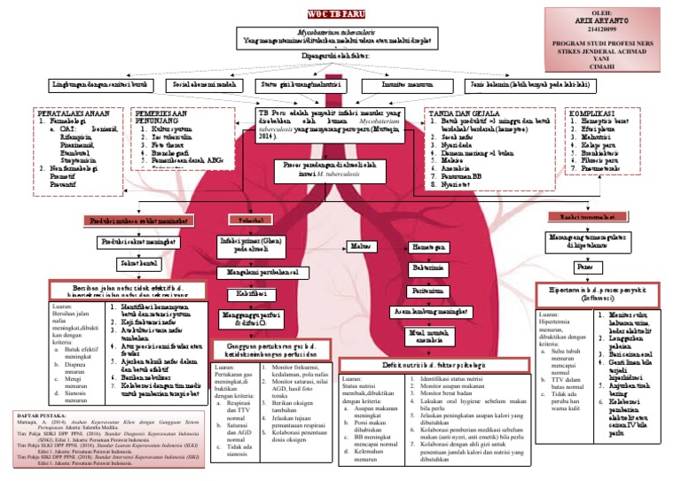 WOC TB Paru - Ardi Aryanto | PDF