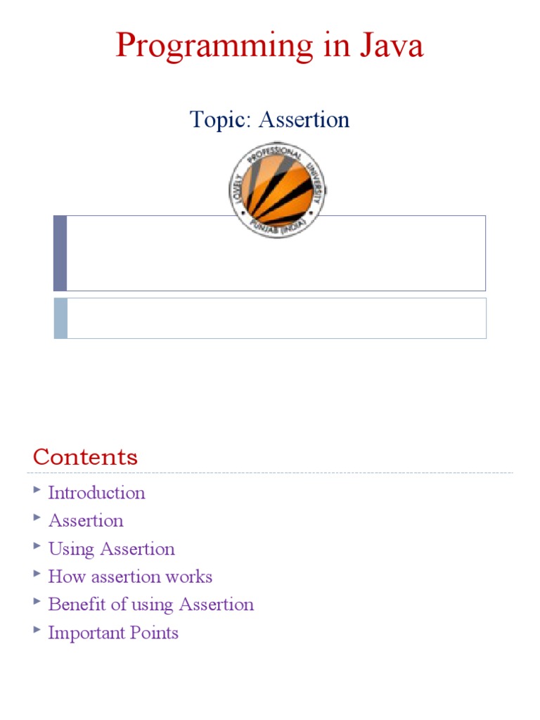 Validating Program Logic and Assumptions Using Assertions in Java | PDF ...