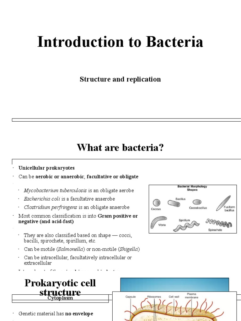 Introduction To Bacteria: Structure and Replication | PDF | Gram ...