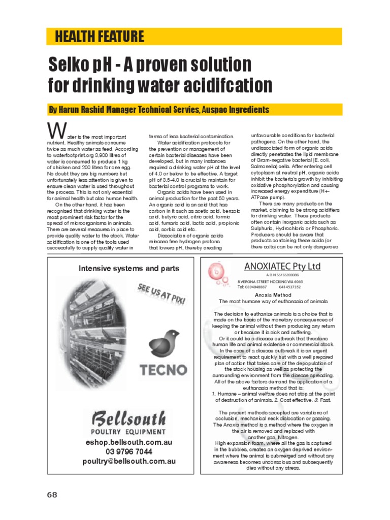 Acidifiers Simple Explain | PDF