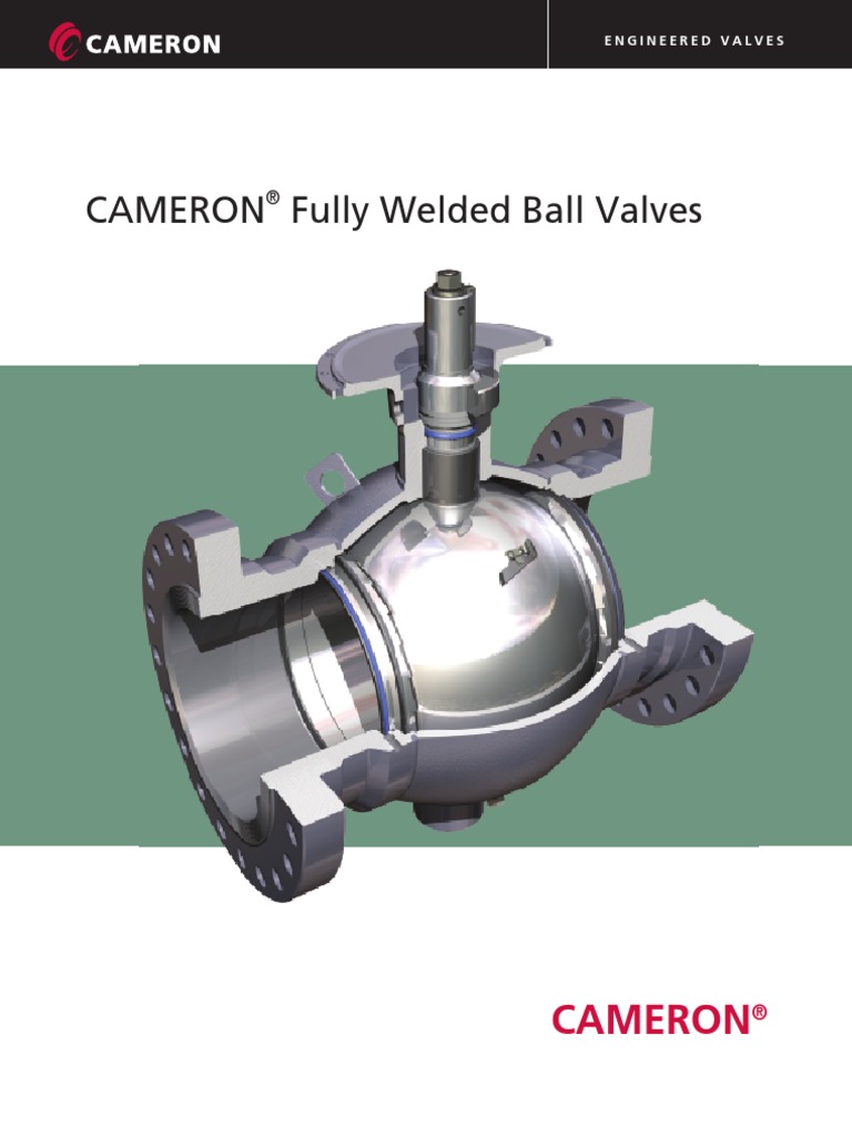 Catalogo Cameron Ingles | PDF | Valve | Pipe (Fluid Conveyance)