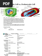 Class 9 - Diagram Cell | PDF
