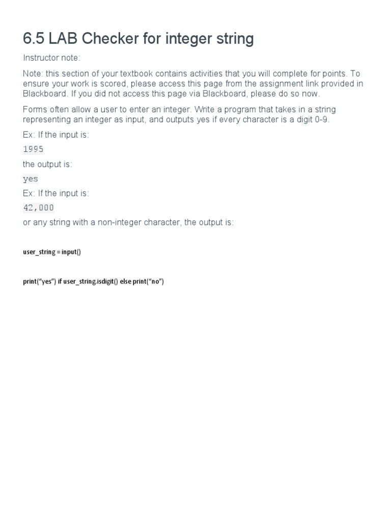 Integer String Checker Lab | PDF