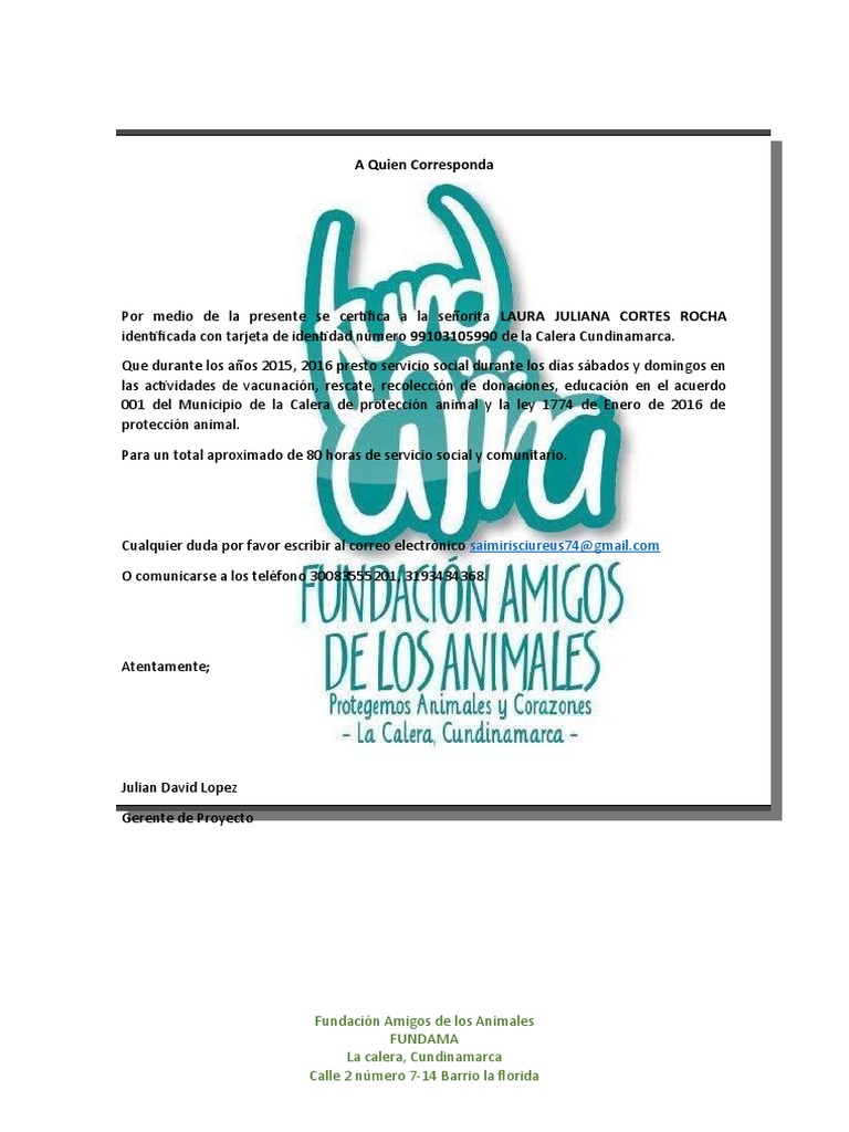 Fundama | PDF | Estilo de vida