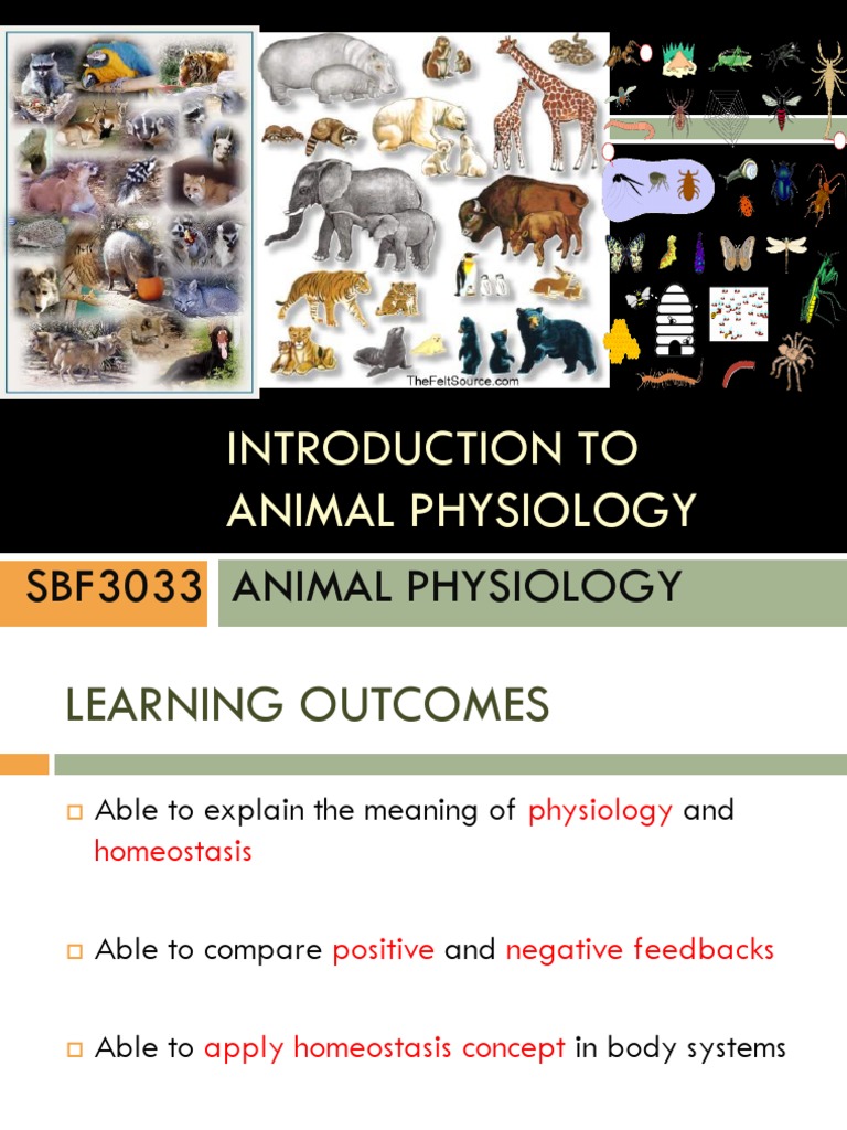 Introduction To Animal Physiology | PDF | Homeostasis | Biology