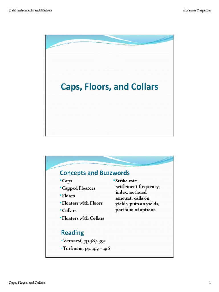 Caps, Floors, and Collars | Download Free PDF | Financial Economics ...