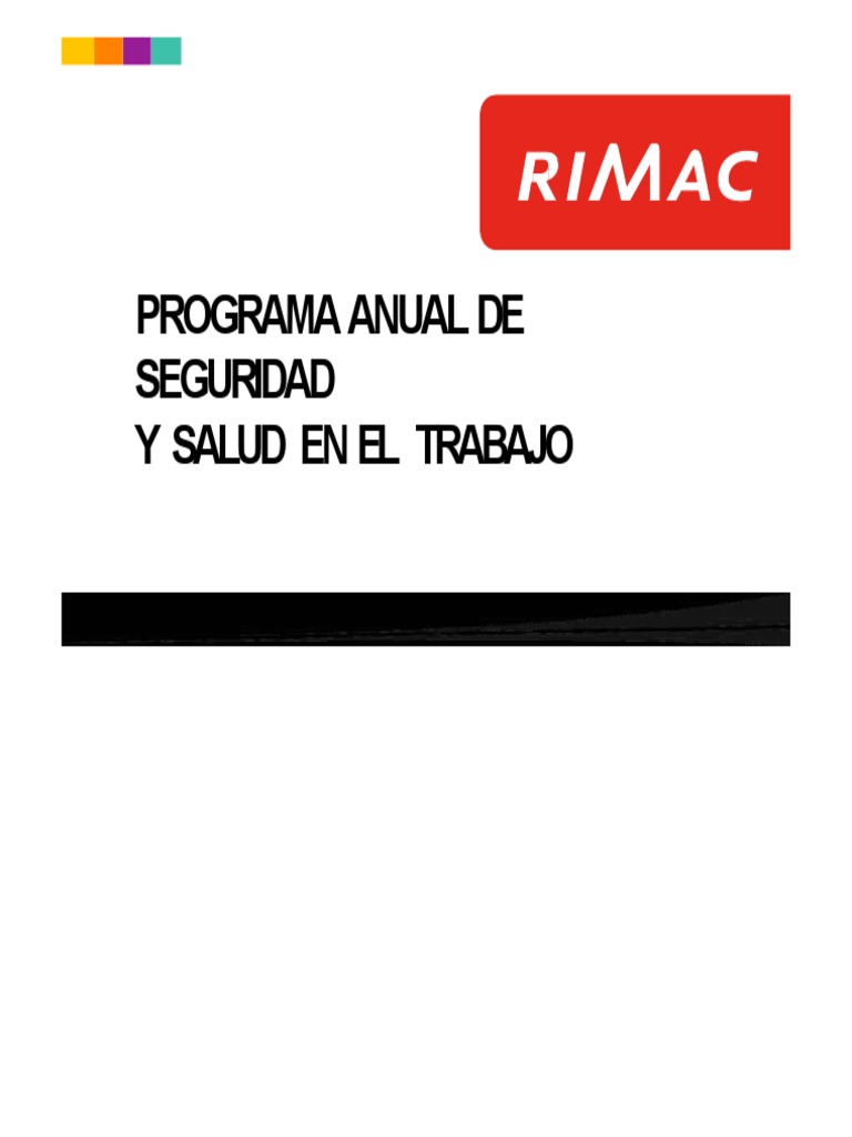 Programa Anual de Seguridad y Salud en El Trabajo Teoria | PDF | Seguridad y salud ocupacional ...