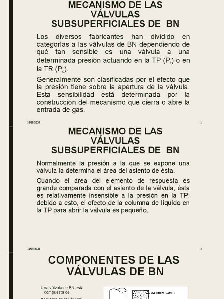 Sap BN | PDF | Válvula | Bomba