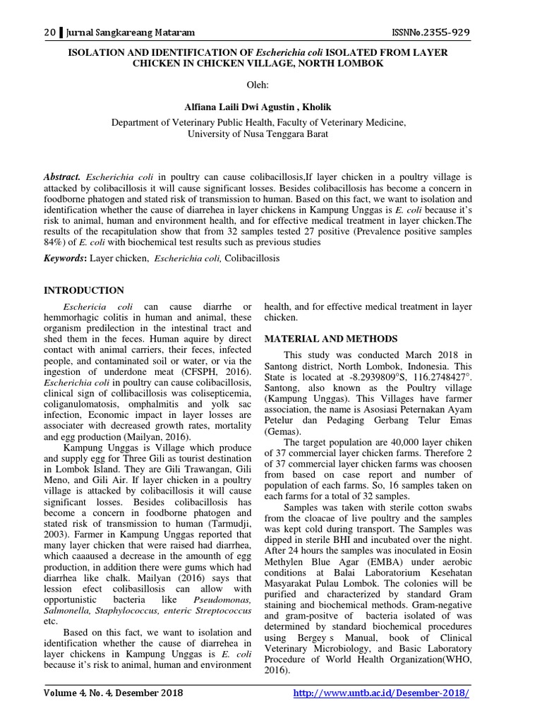 4 ISOLATION AND IDENTIFICATION OF Escherichia Coli ISOLATED FROM LAYER ...