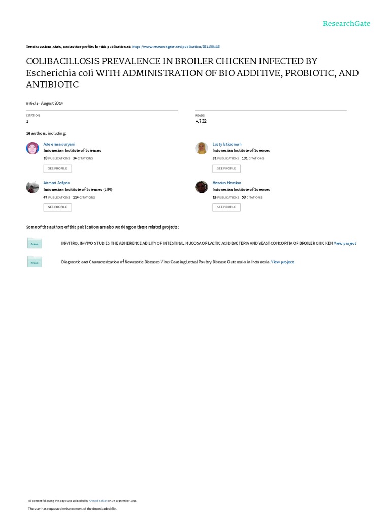Colibacillosis in Broiler Chickens Study | PDF | Infection | Probiotic