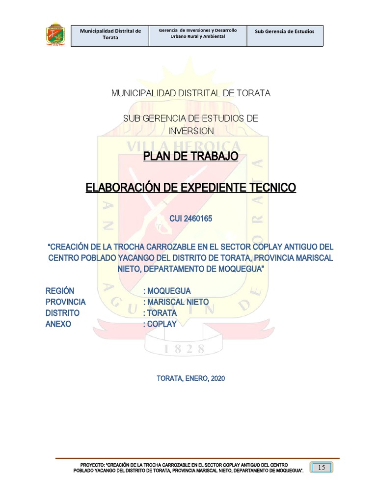 01.-Plan de Trabajo Trocha Carrozable Coplay | PDF | Presupuesto | Hormigón