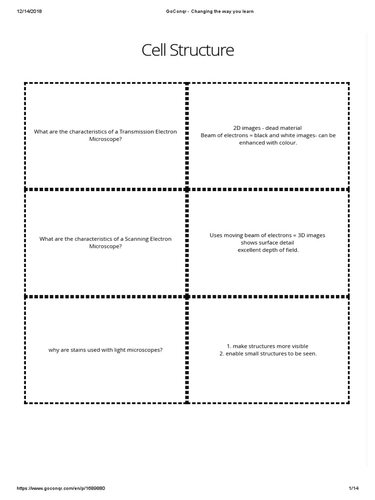 Cell Structure Flashcards Overview | PDF | Endoplasmic Reticulum | Cell ...