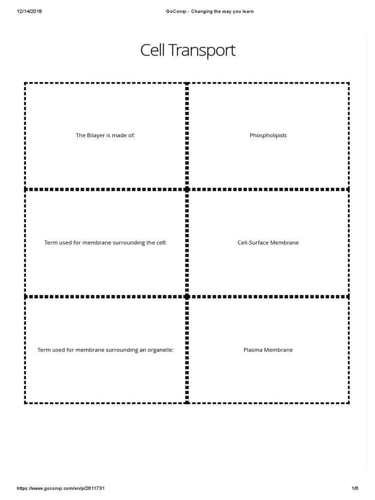 Cell Transport - Flashcards PDF | PDF | Cell Membrane | Cell Biology