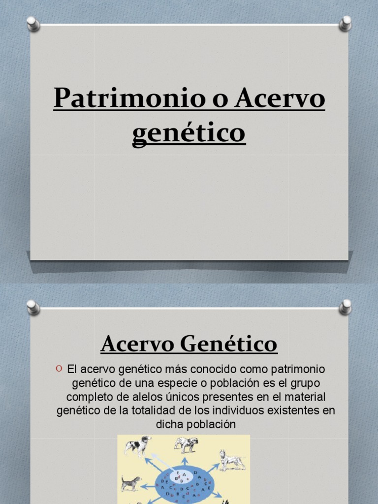 Patrimonio o Acervo Genético | PDF | Gene | Mutación