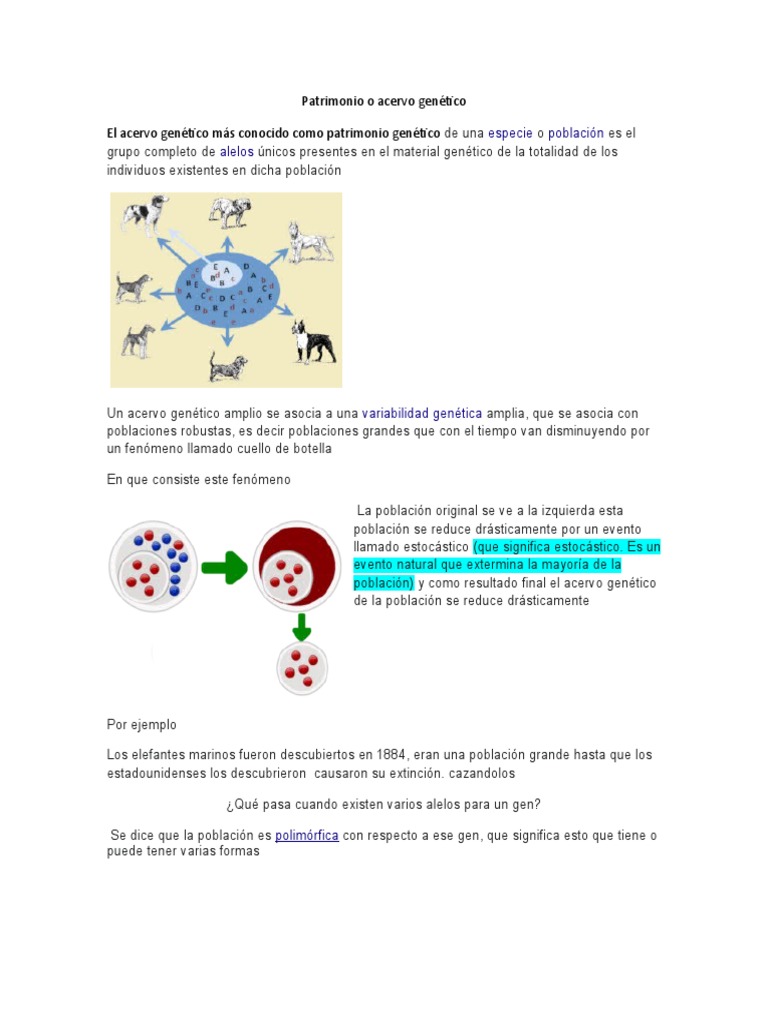 Patrimonio o Acervo Genético | PDF | Gene | Especies