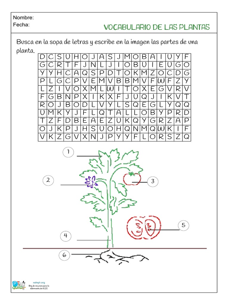 Vocabulario y Partes de las Plantas | PDF | Artes del Lenguaje y ...