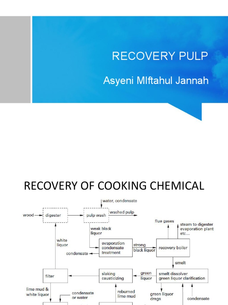 Recovery Pulp: Asyeni Miftahul Jannah | PDF | Cooking, Food & Wine