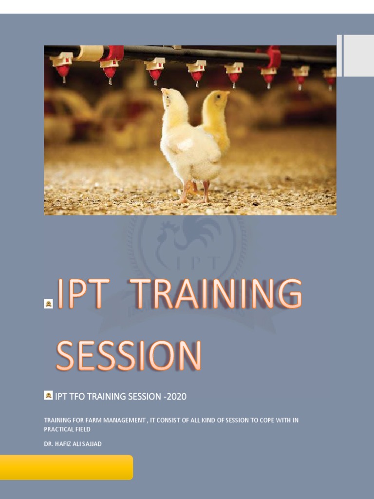Ipt Tfo Training Session - 2020 | PDF | Respiratory System | Lung