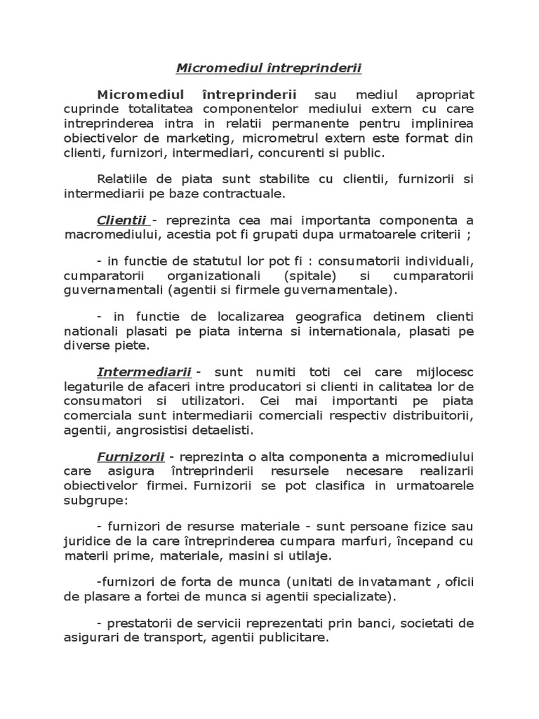 Micromediul Întreprinderii | PDF