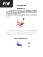 Partes de Una Gallina y Sus Funciones | PDF | Pollo | Pluma