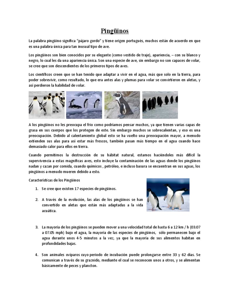 Pingüinos | PDF | Pingüino | Aves