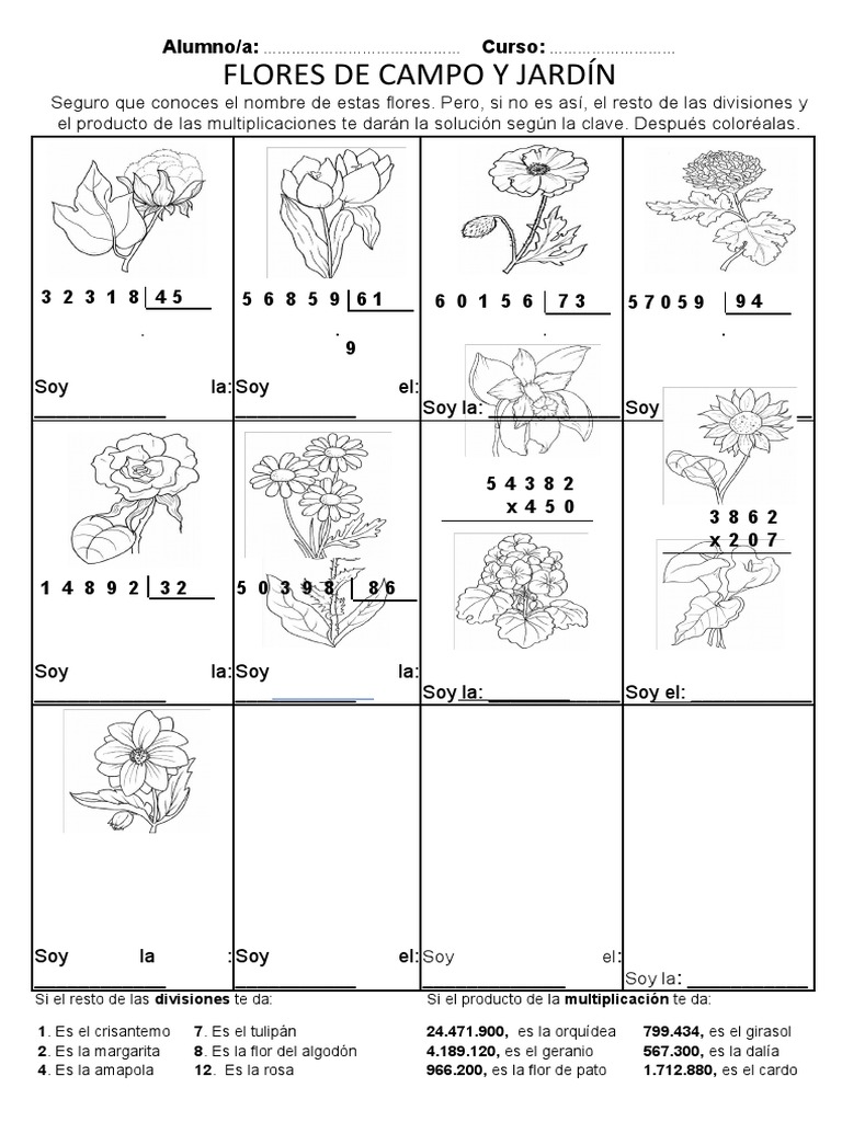 Flores Matemáticas: Multiplicaciones y Divisiones | PDF