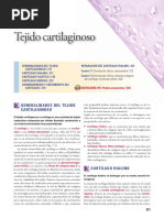Condrogénesis y Crecimiento Del Cartílago | PDF