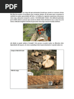 Cómo Cubicar Madera: Guía Práctica | PDF | Volumen | Pie (unidad)