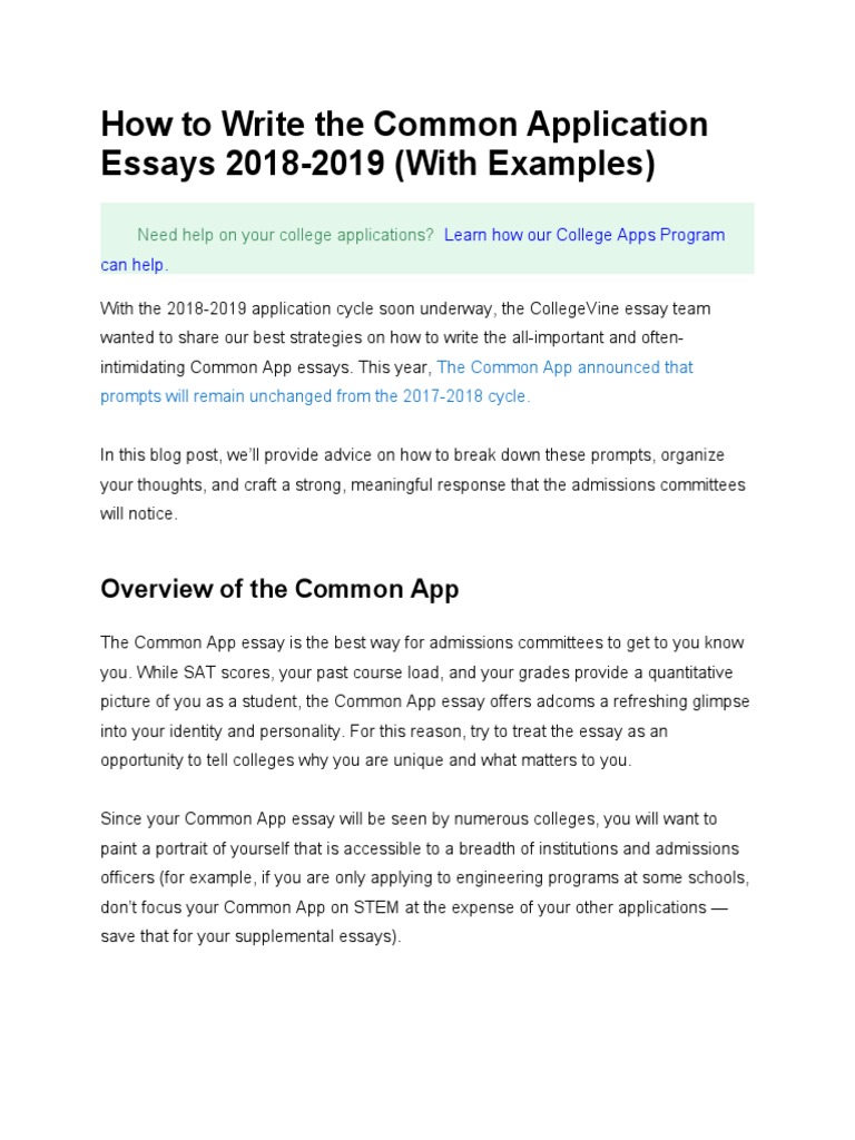 Common App Essay Guidelines Pdf Essays Idea