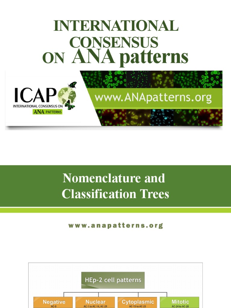 International Consensus ON: ANA Patterns | PDF