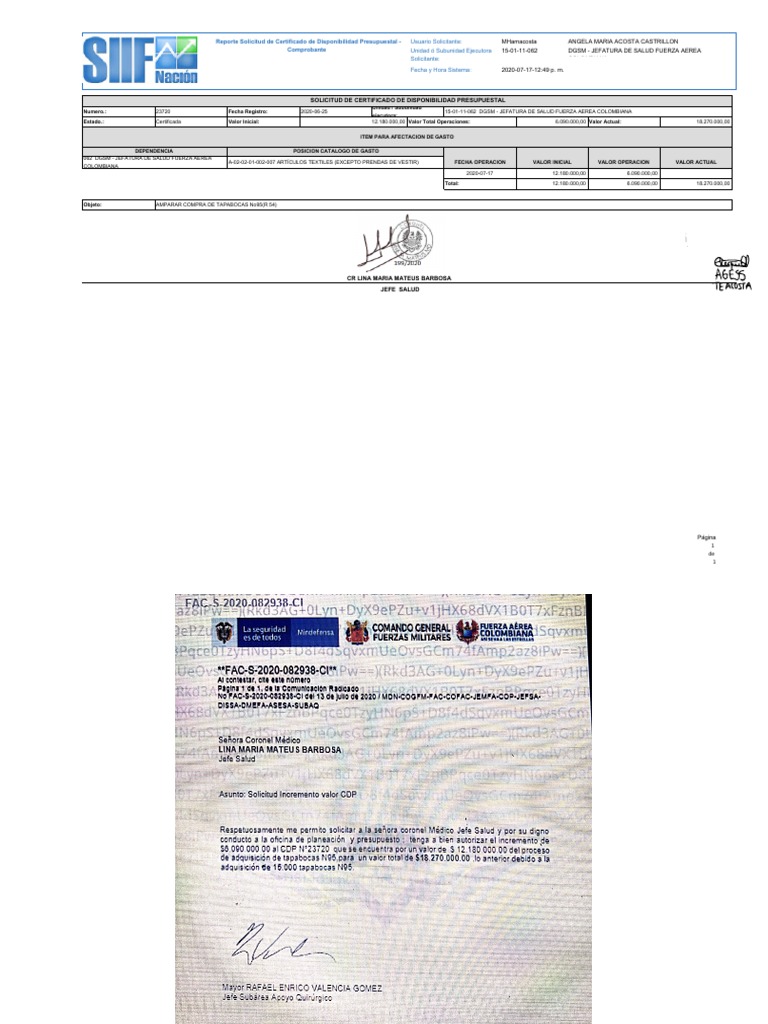 Solicitud Cpa y CDP | PDF | Violencia