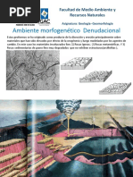 Tema 7 Relieve Amazonico | PDF | Selva amazónica | Perú