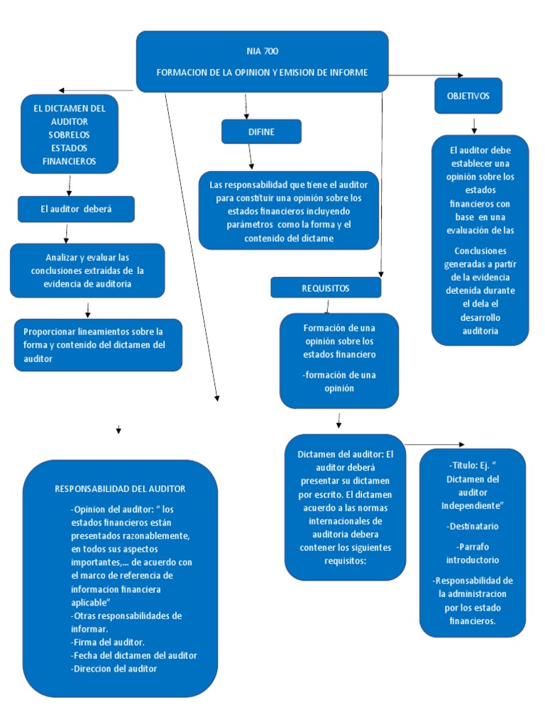 Nia 700 Mapa Mental | PDF | Contralor | Auditoría