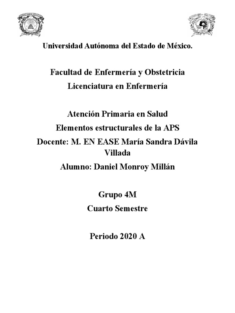 Elementos de La APS (Mapa Conceptual) | PDF | Organización Panamericana ...