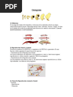 Ontogénesis y Filogénesis: Evolución Biológica | PDF | Biología del ...