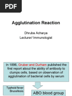 Biochemical Test and Identification of Pseudomonas Aeruginosa | PDF ...