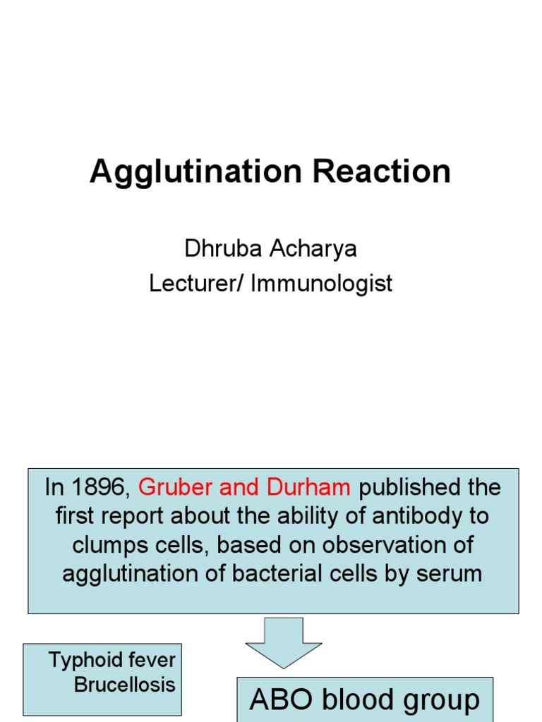 Agglutination Reaction JMHFHS | PDF | Antibody | Biology