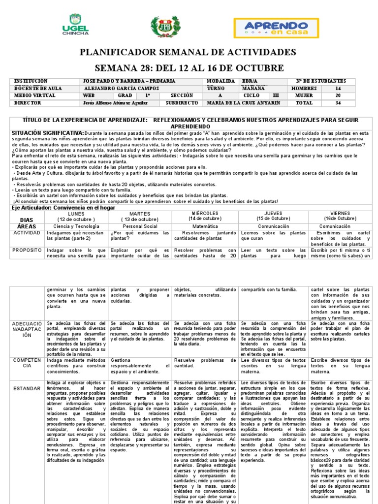 Planificador de Actividades Semanal | PDF | Información | Plantas