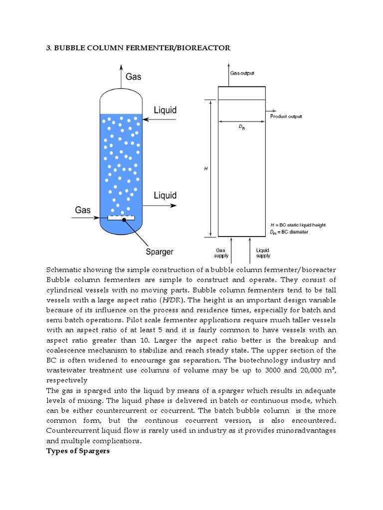 Bubble Column Fermenter/Bioreactor | PDF | Chemical Reactor | Chemical ...