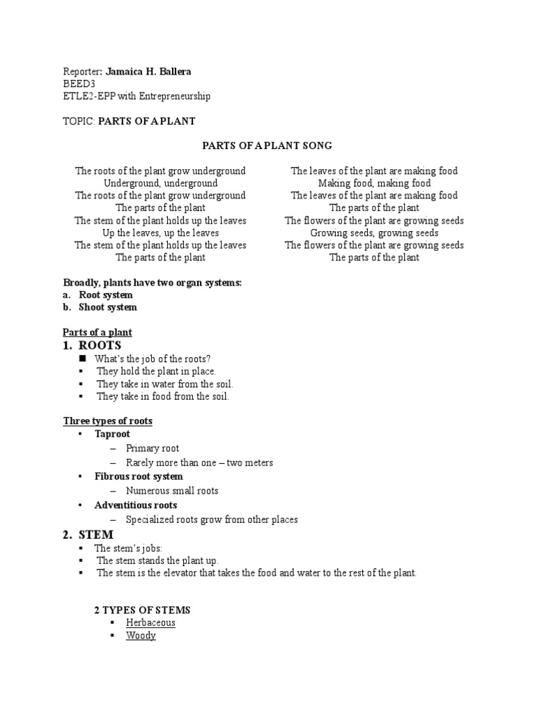 Parts of A Plant Song: 1. Roots | PDF | Plants | Flowers