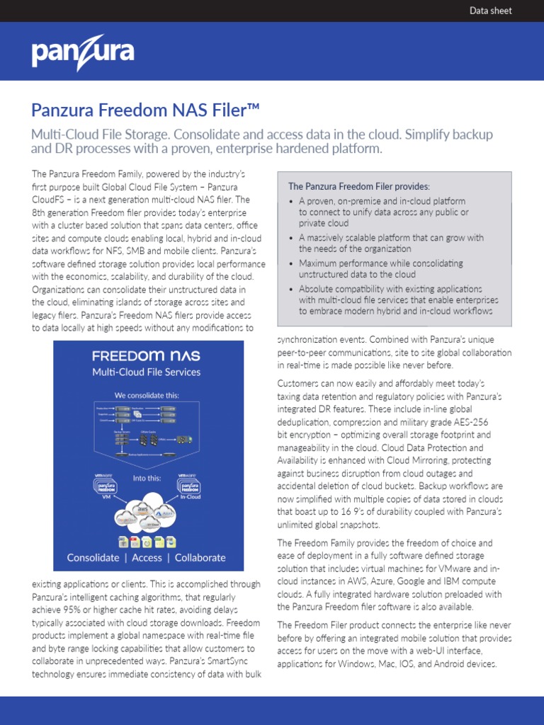 Panzura Freedom Filer Datasheet | PDF | Cloud Computing | Microsoft Azure