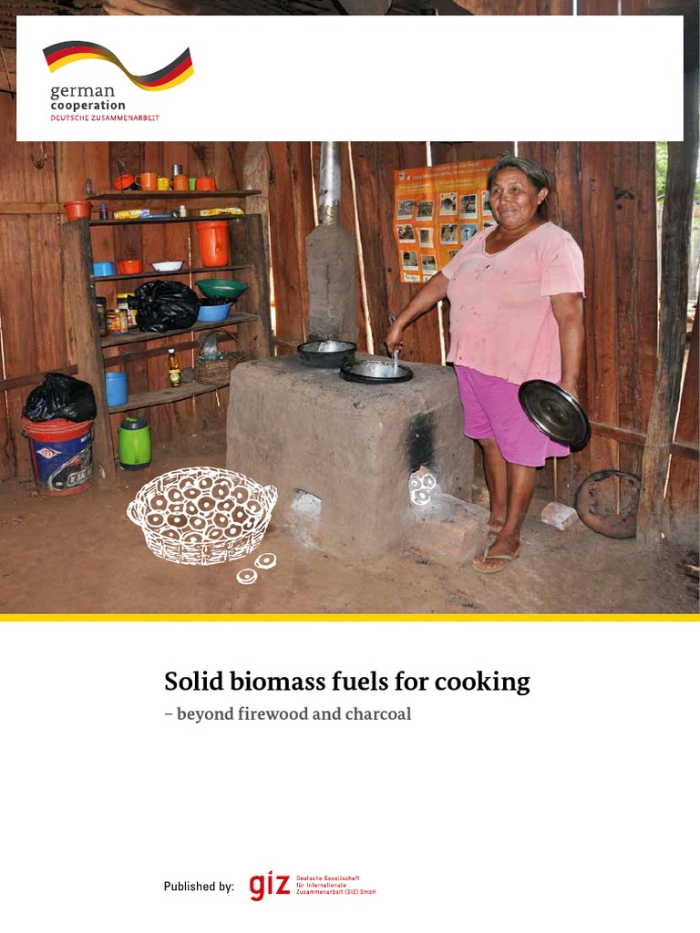 Solid Biomass Fuels For Cooking - Beyond Firewood and Charcoal. GIZ ...