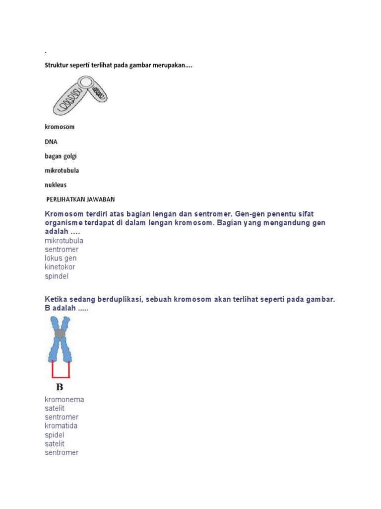 Soal Substansi Genetik | PDF
