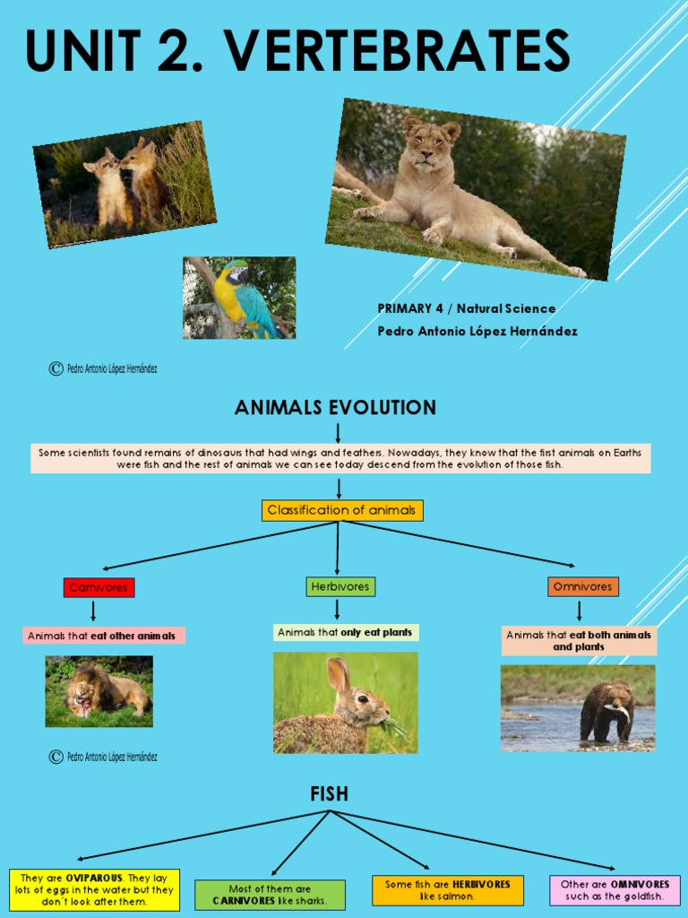 Unit 2 Vertebrates PDF | PDF | Mammals | Reptile
