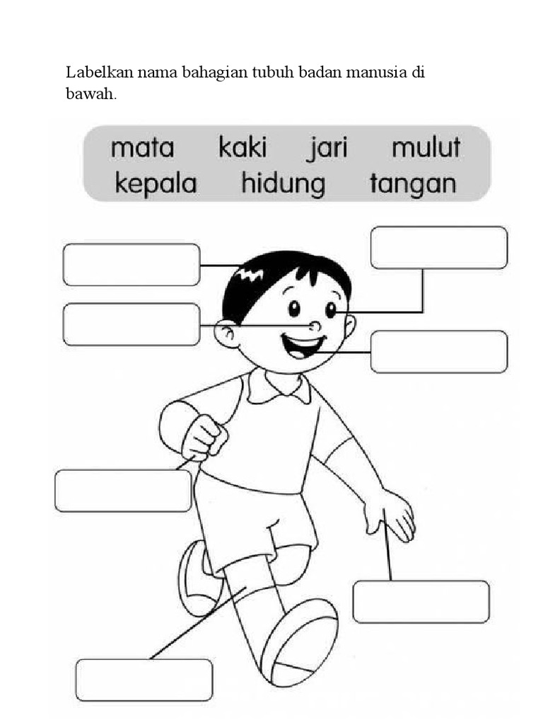 Labelkan Nama Bahagian Tubuh Badan Manusia Di Bawah | PDF