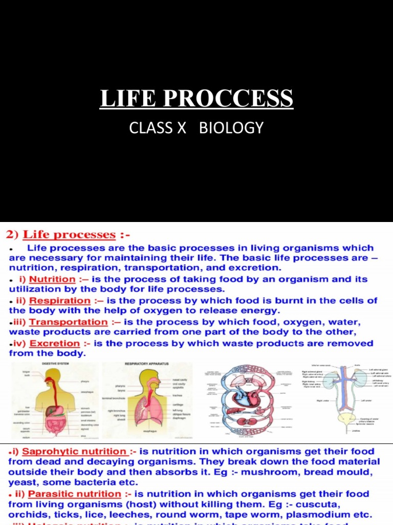 A Comprehensive Overview of the Key Life Processes in Humans Including ...